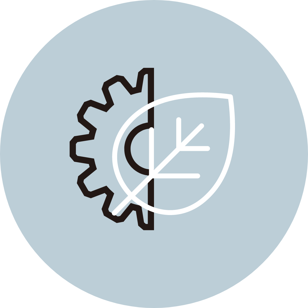 Insight 5: Offer Resources and Opportunities that Nurture Individual ...